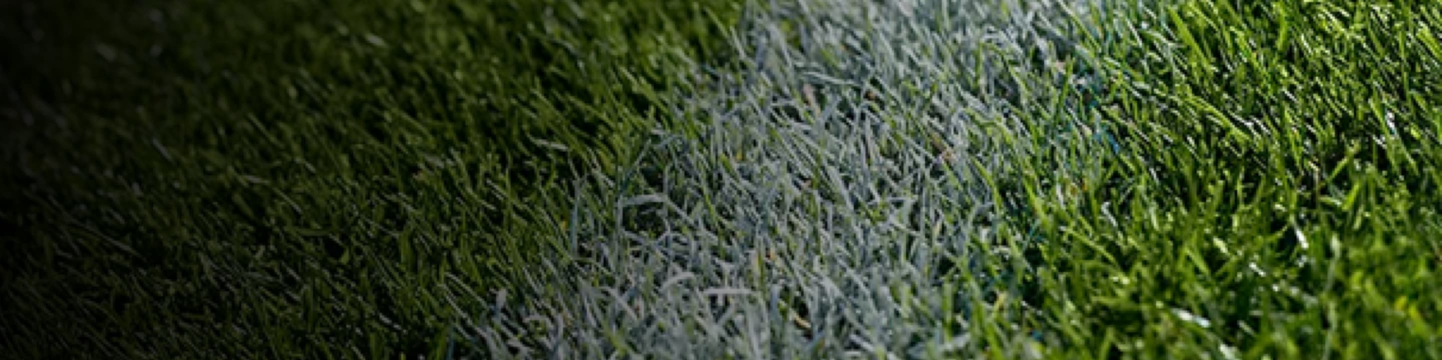 Men - Soccer - Shoes - Firm Ground | adidas US